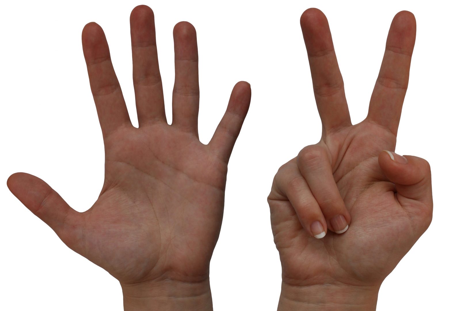 LOS 7 SENTIDOS - Integración Sensorial