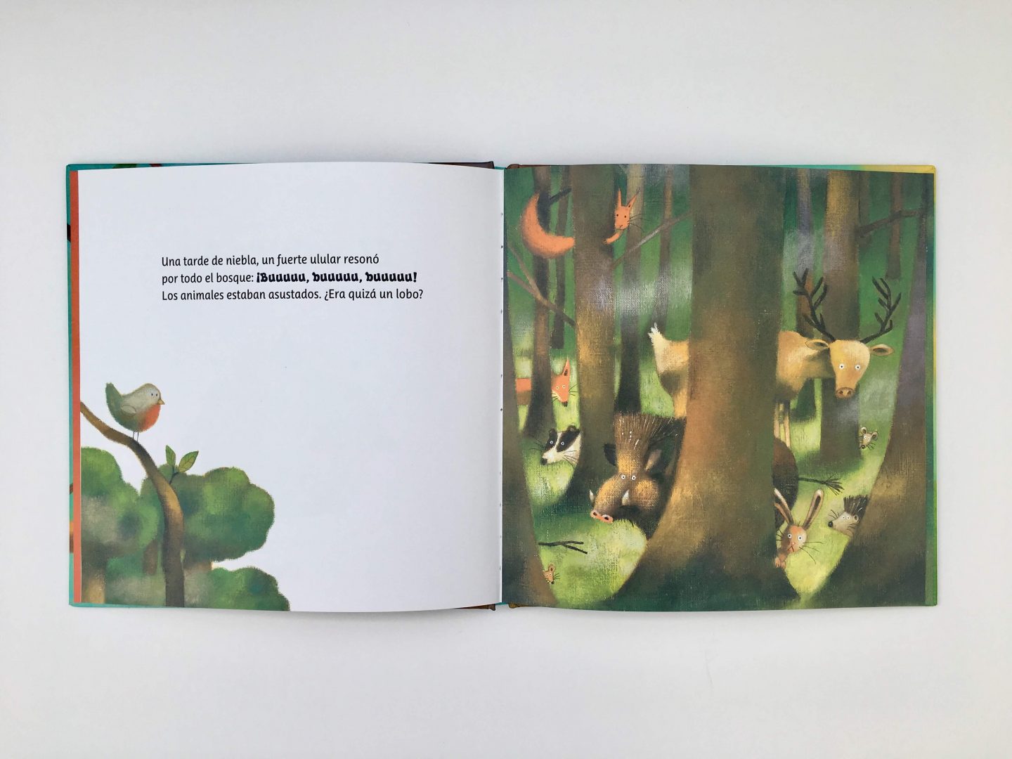 El buhito Bu - Cuentos Infantil - Primaria