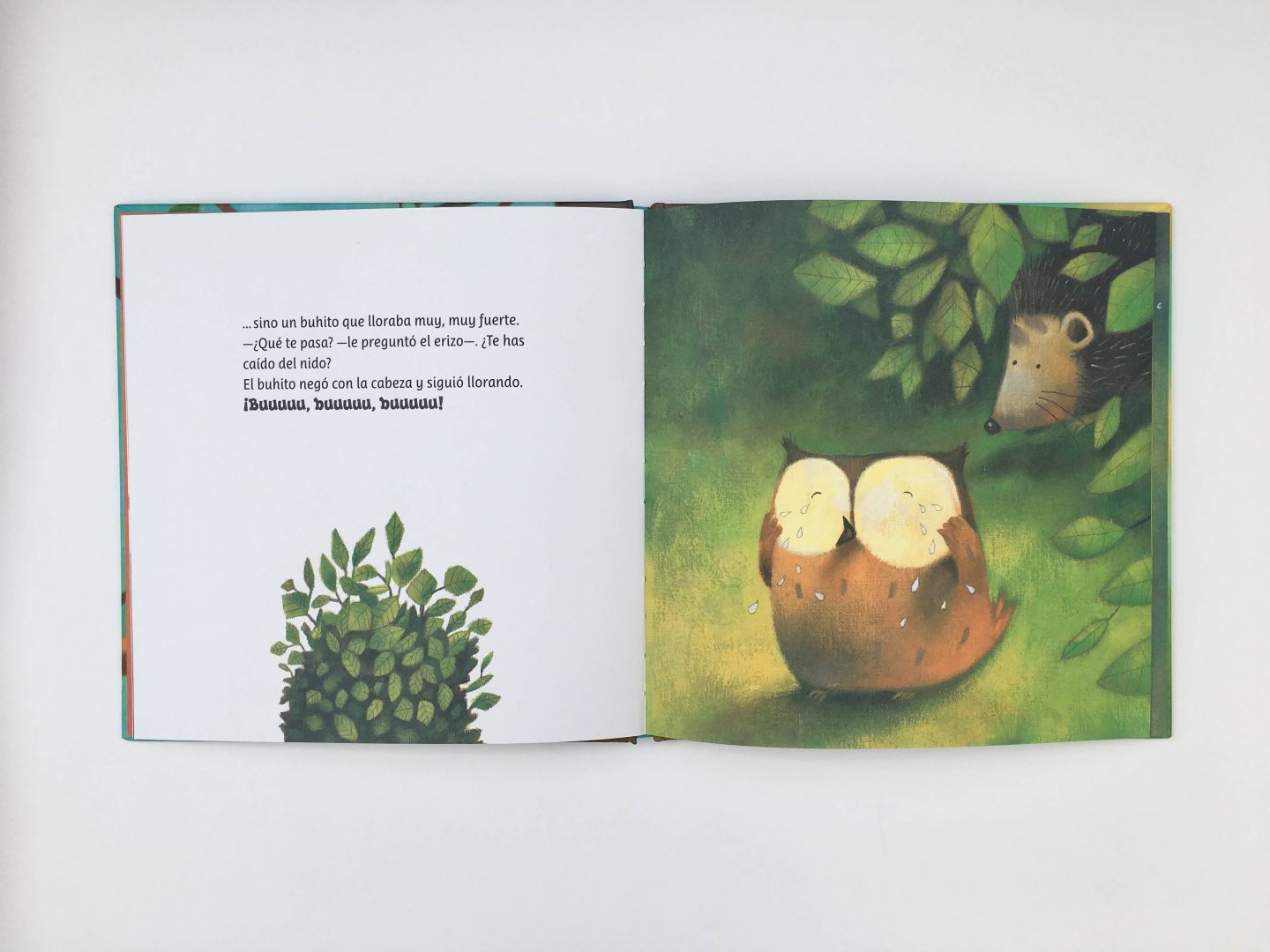 El buhito Bu - Cuentos Infantil - Primaria