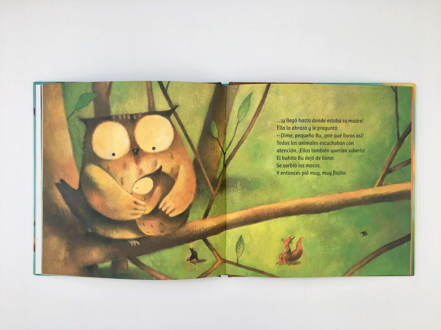 El buhito Bu - Cuentos Infantil - Primaria